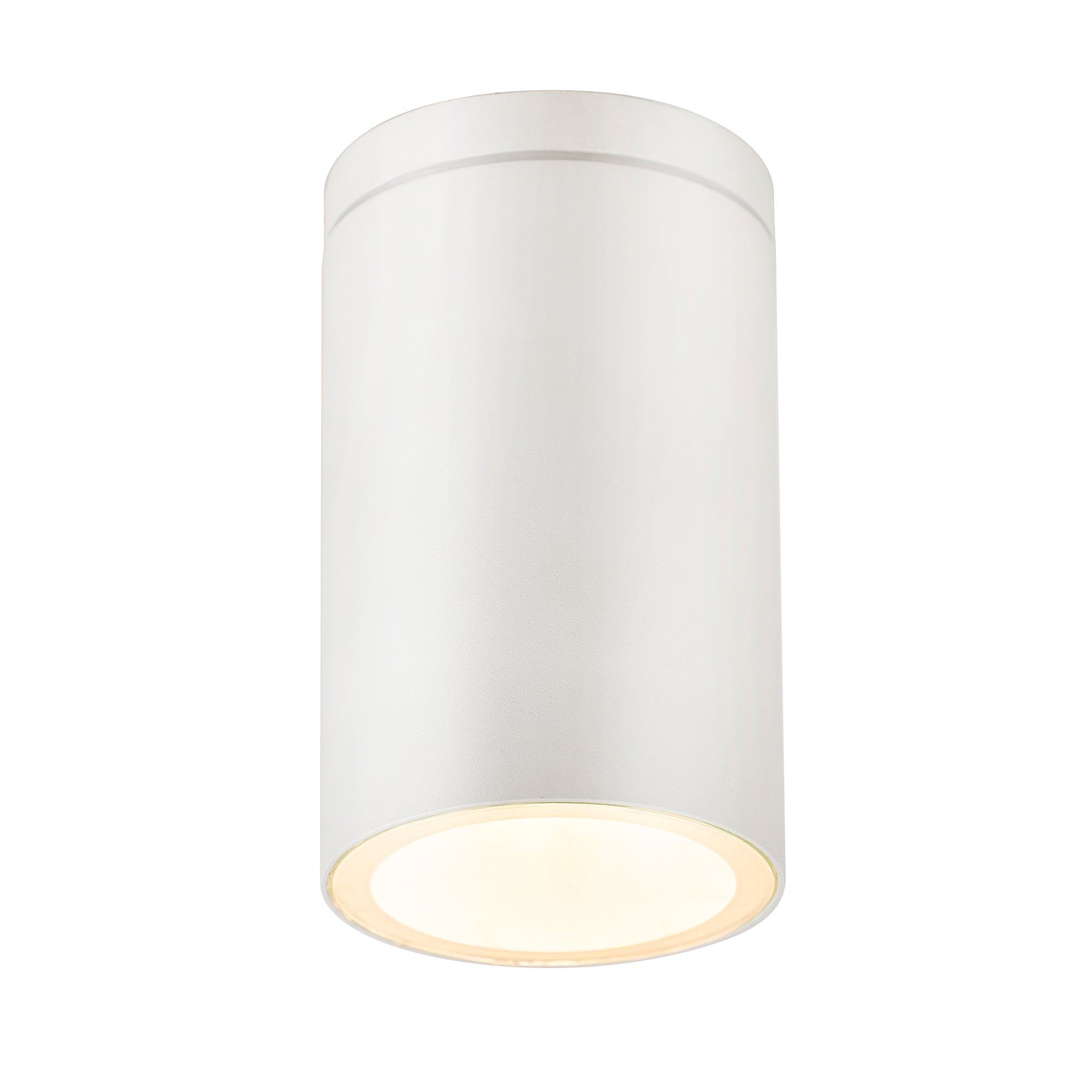 Myren Outdoor Ceiling Light - White